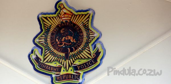 ZRP Transfers Over 400 Police Officers – Pindula News
