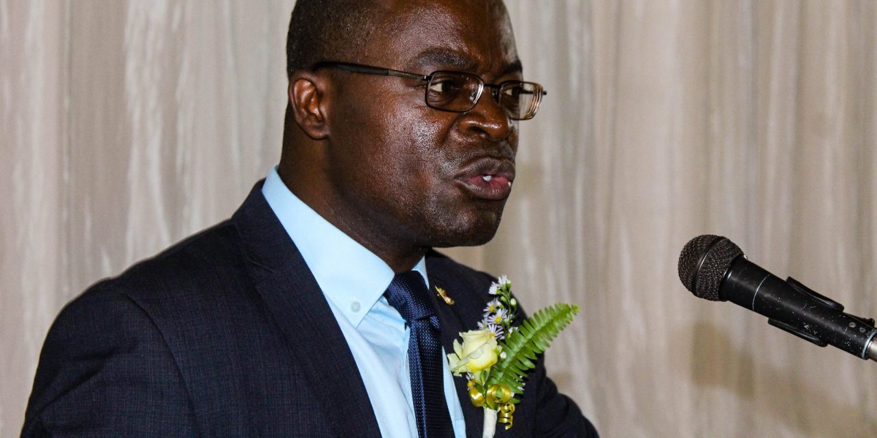 Frederick Shava And Amon Murwira Swap Roles In Cabinet Reshuffle ⋆ ...