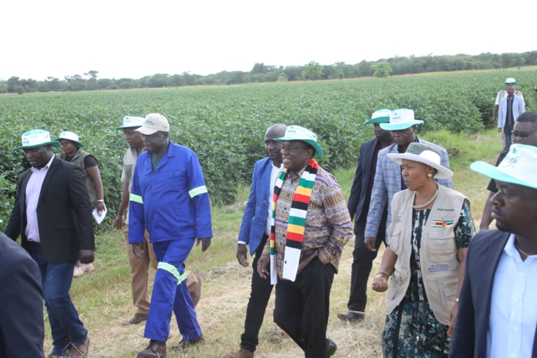 Midlands Chiefs Pledge To Vote For ED In 2023 ⋆ Pindula News