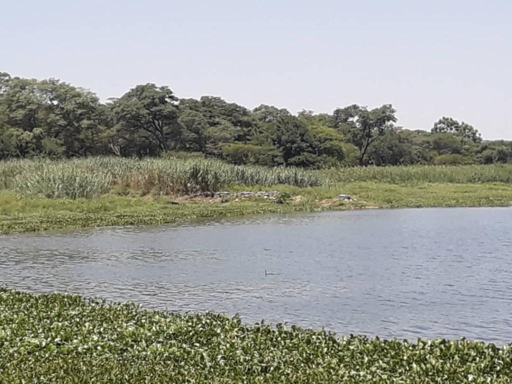 Lake Chivero Water Poses Severe Cancer Risk, Study Warns ⋆ Pindula News