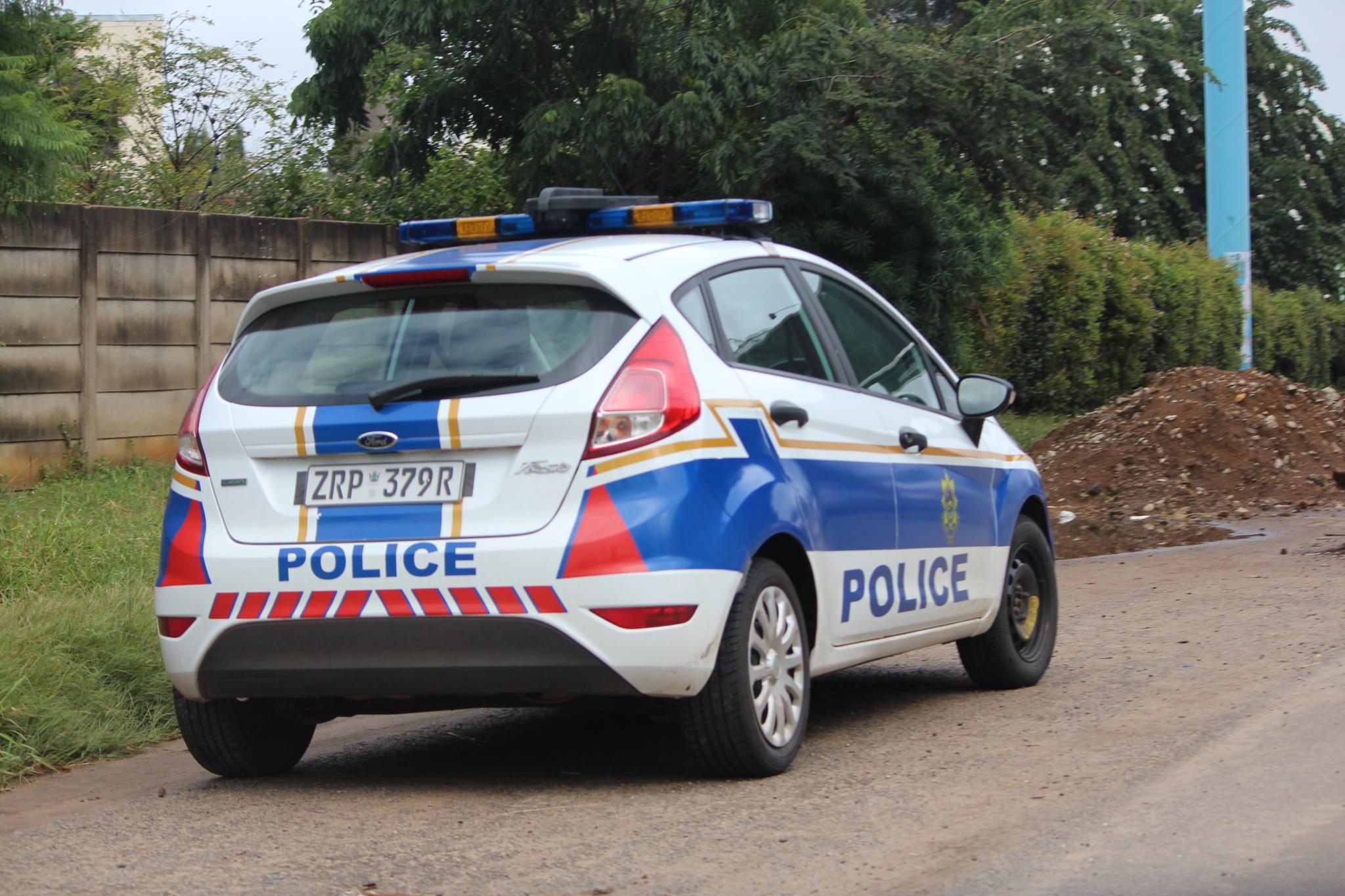 Chinhoyi Man (23) Jailed For Stealing Branded ZRP Vehicle From Police ...