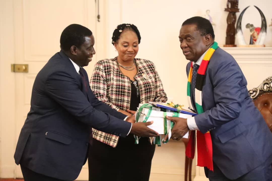 Mangwana Says ZEC's Draft Of The Final Delimitation Report Is Not Final ...