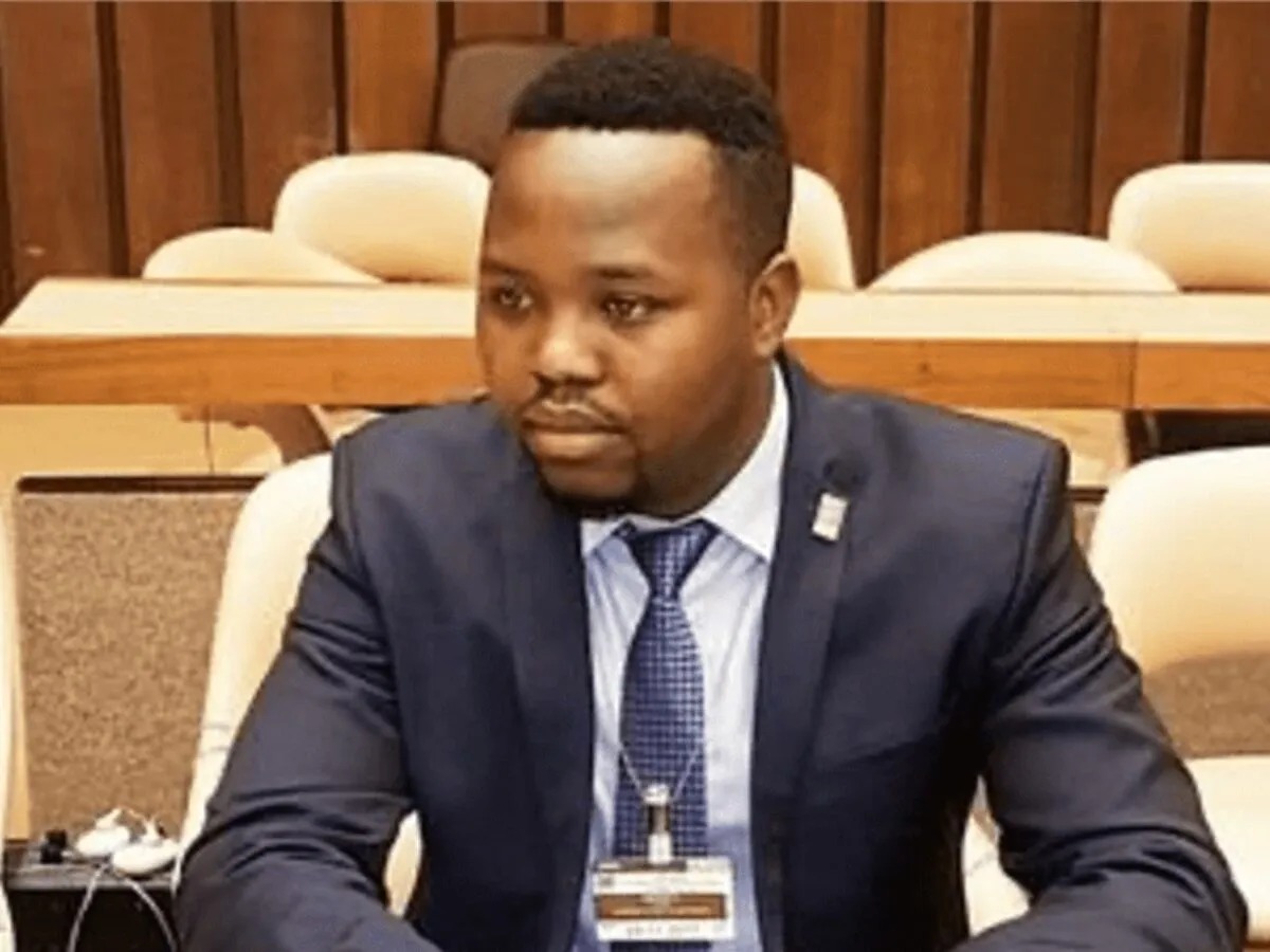 Zimbabwean Lawyer Thompson Chengeta Appointed To UN Disarmament ...