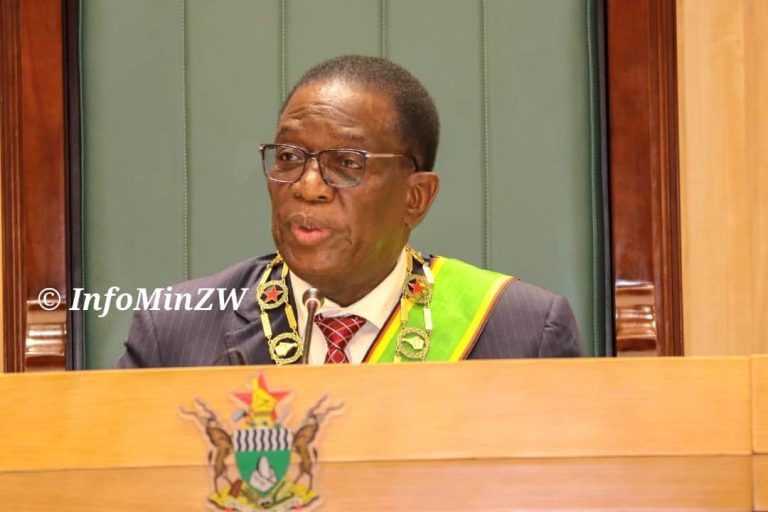 Mnangagwa Names Mutimbanyoka And Fred Moyo As Deputy Ministers ⋆ ...