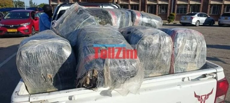 Smuggled Chicken Meat Bound For Harare Seized And Destroyed