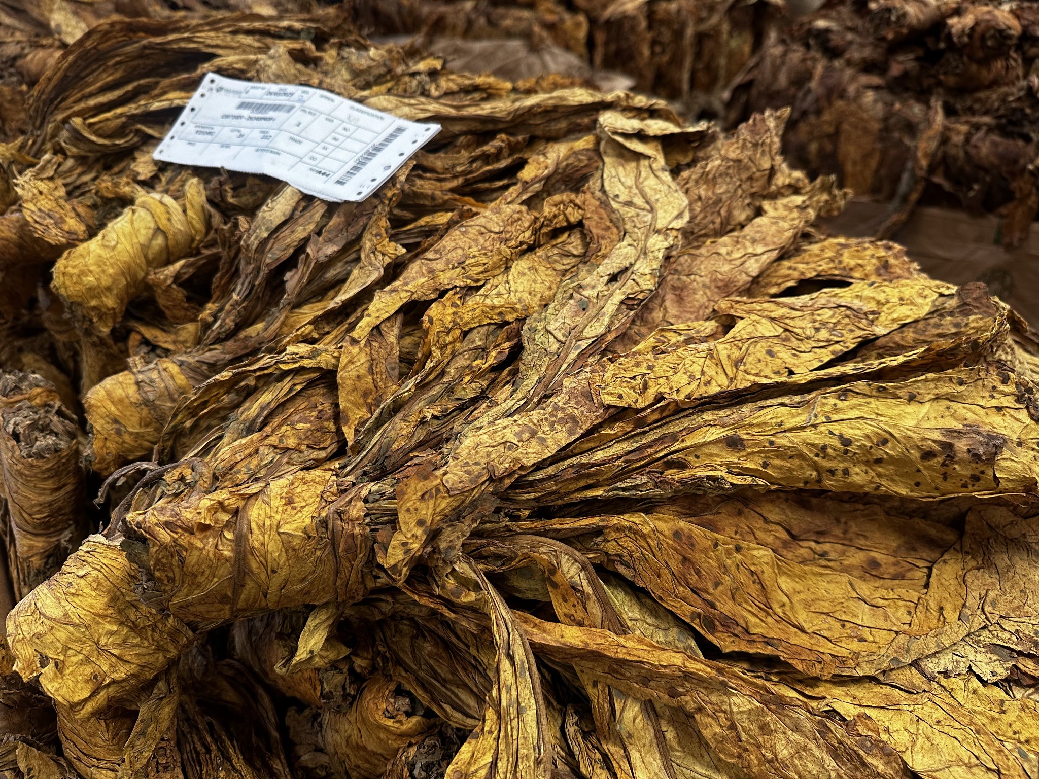 Armed Robbers Seize Tobacco Worth US$7,000 In Rusape Farm Raid ⋆ ...