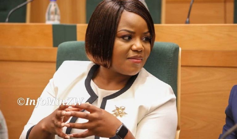 MisRed Defends Public Vote That Crowned Fadzayi Mahere Zimbabwean of ...