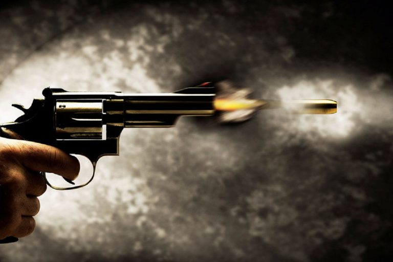 Two Detectives Shot Dead By An Armed Robber In Zaka - Zimbabwe Situation