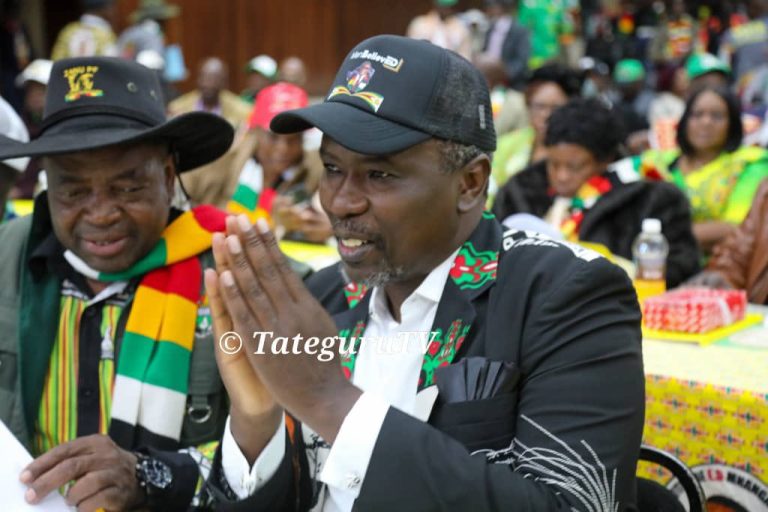 Kudakwashe Tagwirei Elevated To ZANU PF Central Committee ⋆ Pindula News