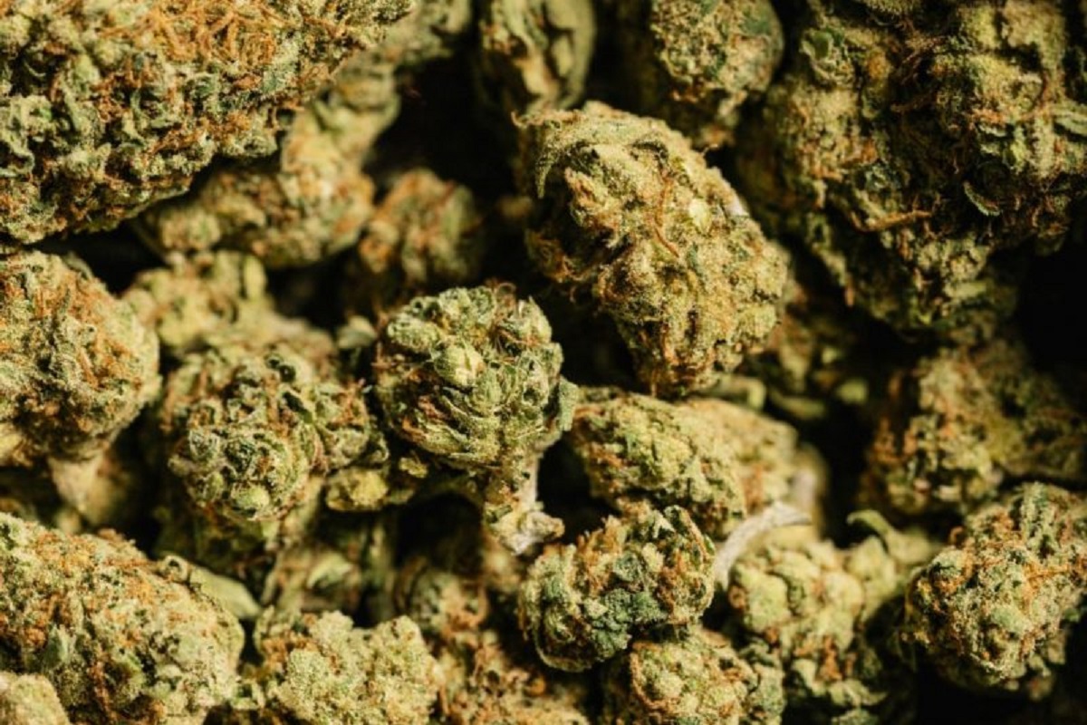 Chitungwiza Woman (52) Caught With 31kg Of Mbanje ⋆ Pindula News