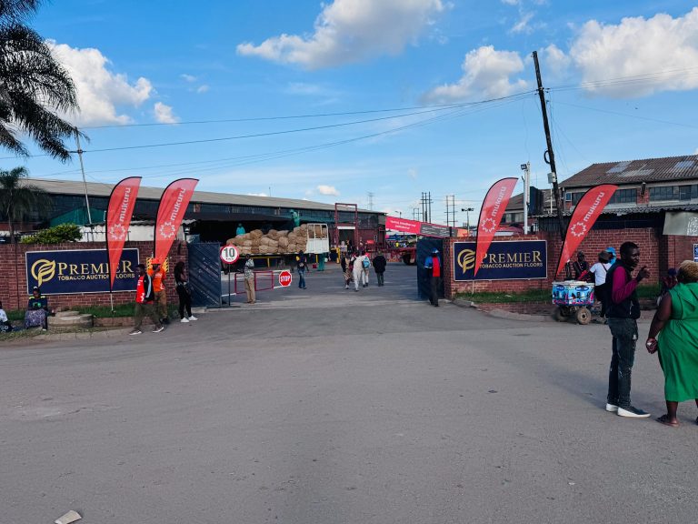 Woman Admits Hiding Guns Used In Mukuru Robberies As Police Uncover ...