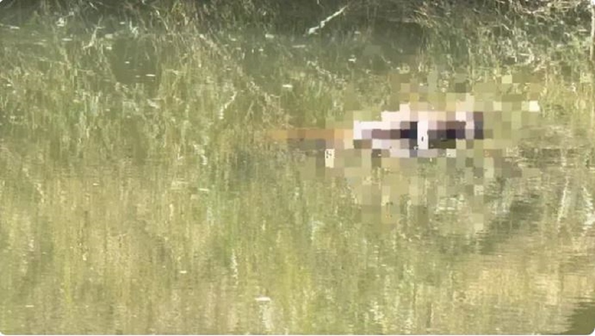 Three Zimbabwean Men Found Dead In South Africa’s Nkomazi River ⋆ ...