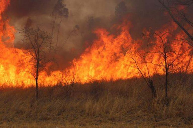 Zimbabwe Faces Increased Veld Fire Danger In 2026, Says EMA ⋆ Pindula News