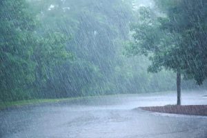 Normal To Above-Normal Rainfall Expected Across SADC In 2025/26 ⋆ ...
