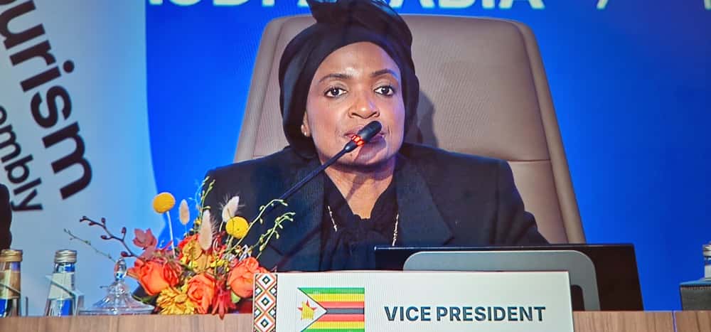 Barbara Rwodzi Appointed Vice-President Of UN Tourism General Assembly ...