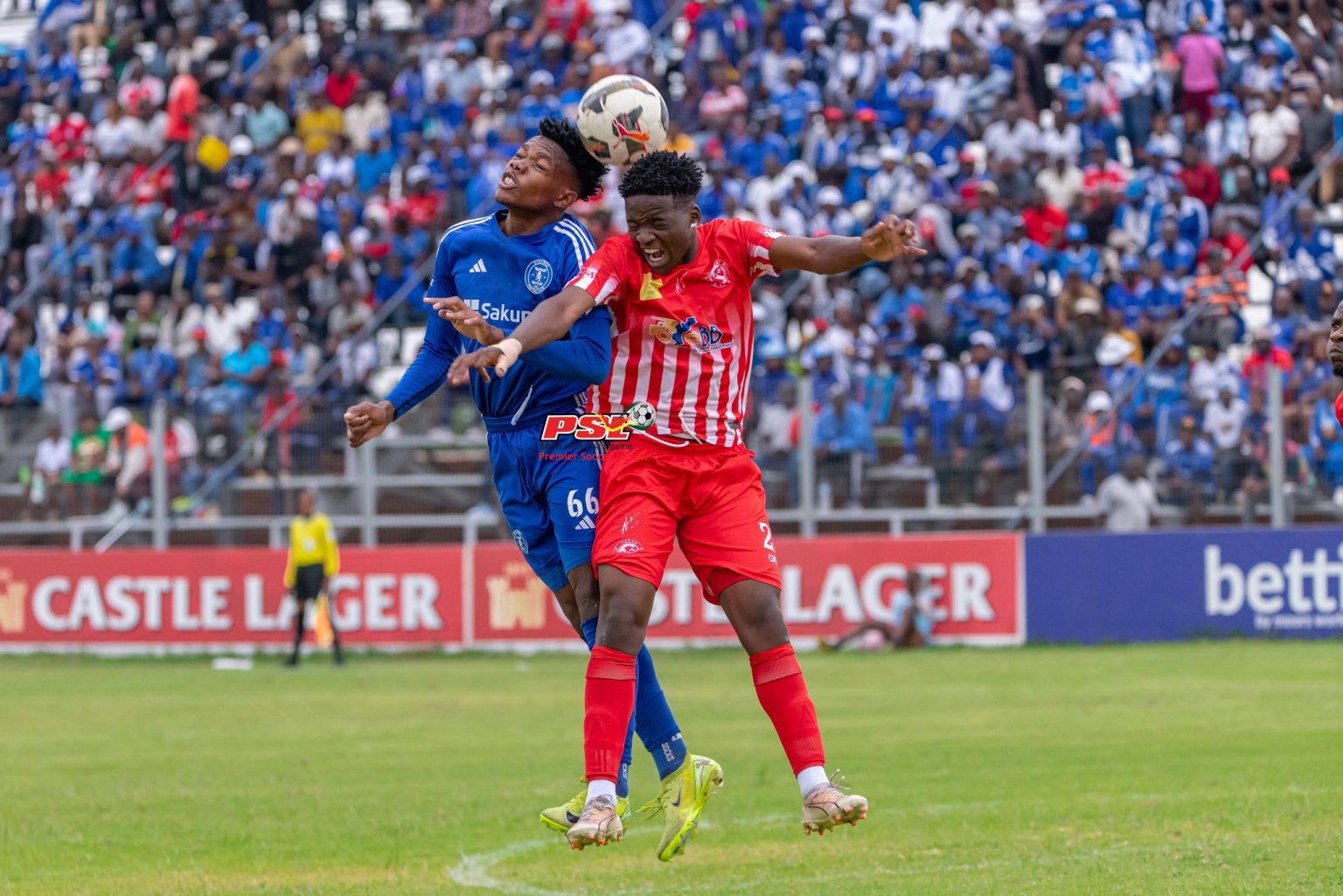 Dynamos, Highlanders Survive Relegation On Dramatic Final Day ⋆ Pindula ...