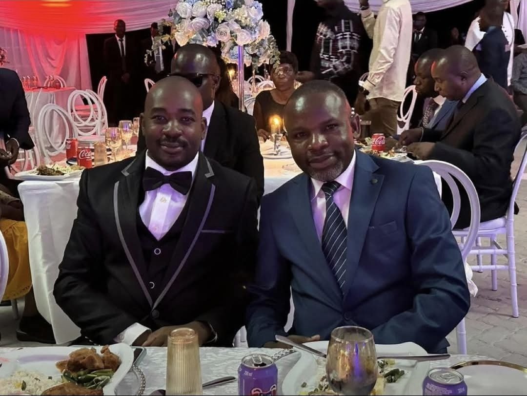 Gift Mugano Makes U-Turn, Pledges To Work With ZANU-PF Government ⋆ ...