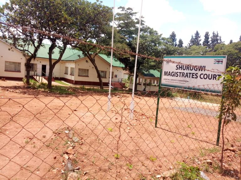 Shurugwi Herd Boy Fined US$110 For "Raping" A Donkey ⋆ Pindula News