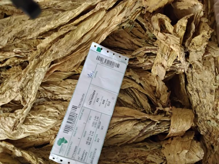 TIMB Says Tobacco Prices Stabilising After Shock $0.35/kg Sales ...