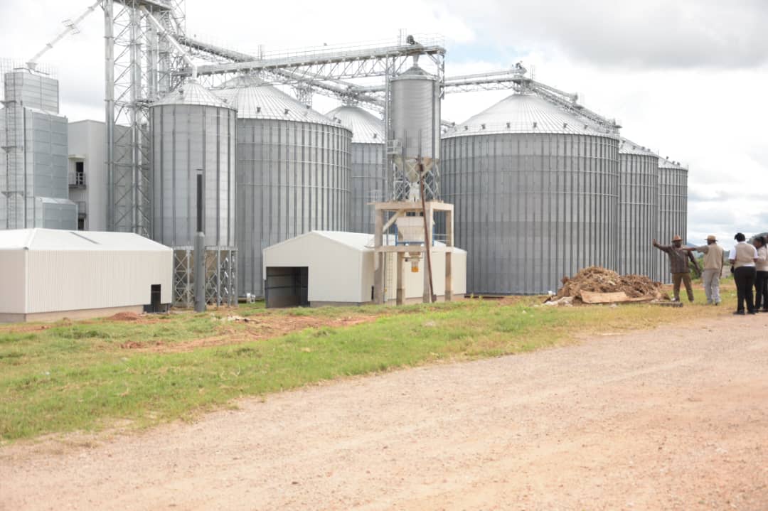 GMB Yet To Fully Pay Grain Farmers For 2024/25 Season Deliveries ⋆ ...