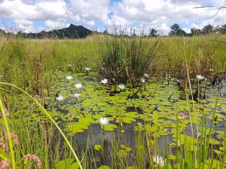 Wetlands Under Threat: CHRA Urges Parliament To Domesticate Ramsar ...