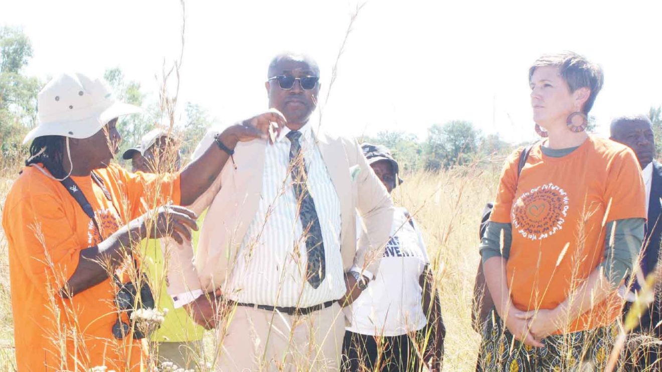 Govt Clamps Down On Wetland Grab By 26 MPs ⋆ Pindula News